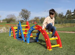 Balance Bridge - Learn Play Nexus